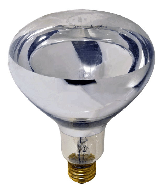 Damar Worldwide | 03503A , R40 , Clear , 375 Watts